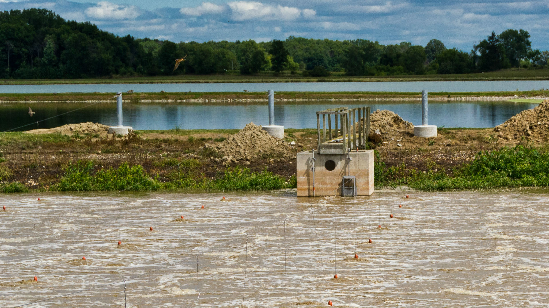 The Nose Knows: Lagoon Odors Give Clues To Lagoon Health