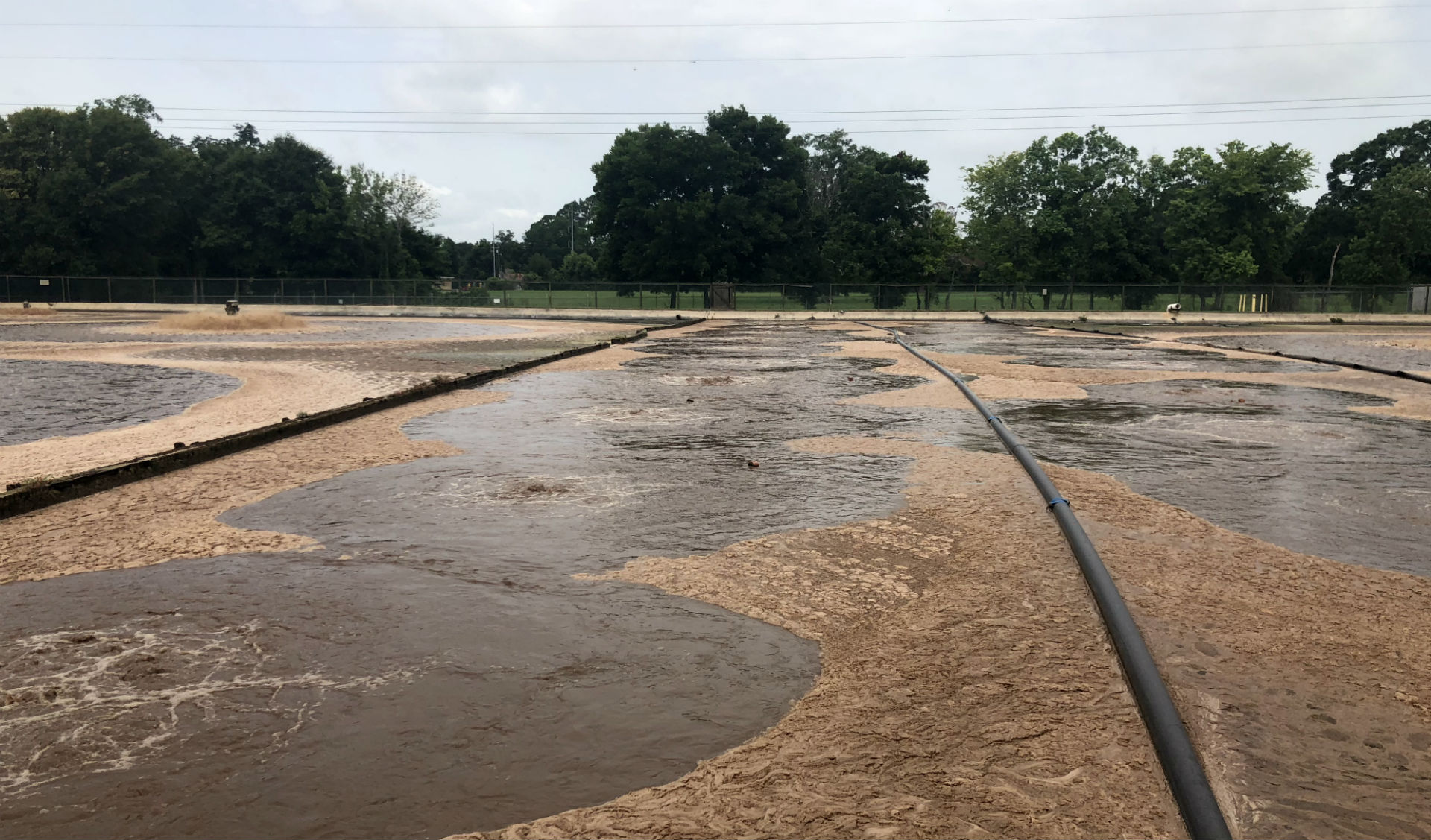 Lagoon Sludge Reduction In-Situ: Methods Of Removing Sludge In Place